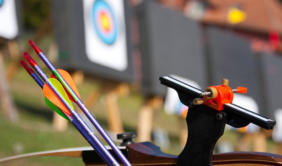 Arrow Anatomy - Waverley City Archers Inc.